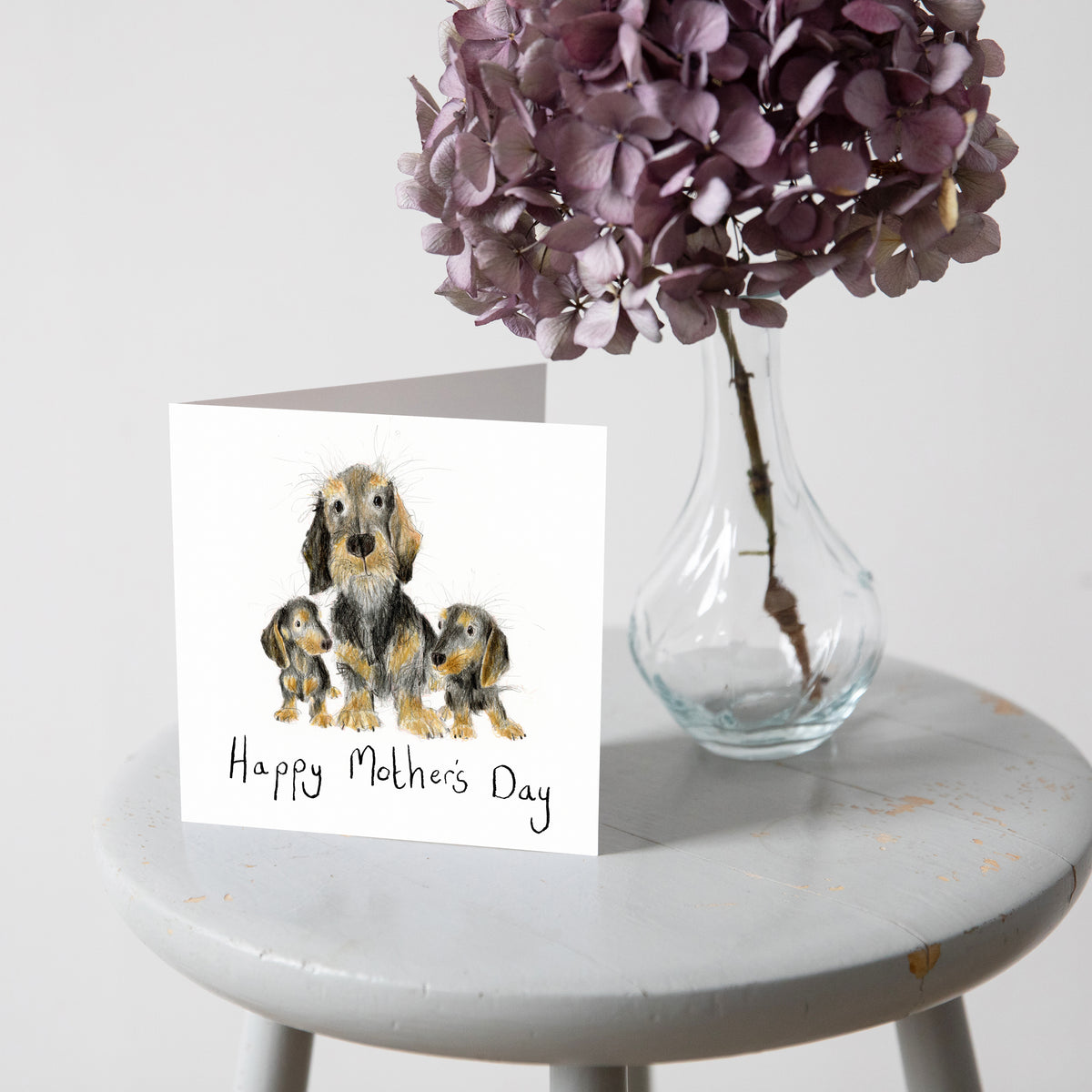 Dachshunds Mother's Day Card - Sophie, Anna and Primrose – Catherine Rayner