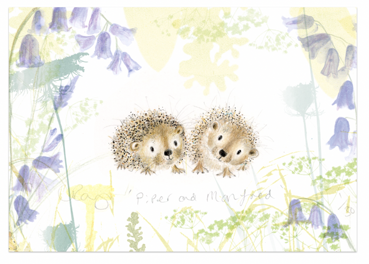'Piper and Manfred' A5 hedgehog Print – Catherine Rayner