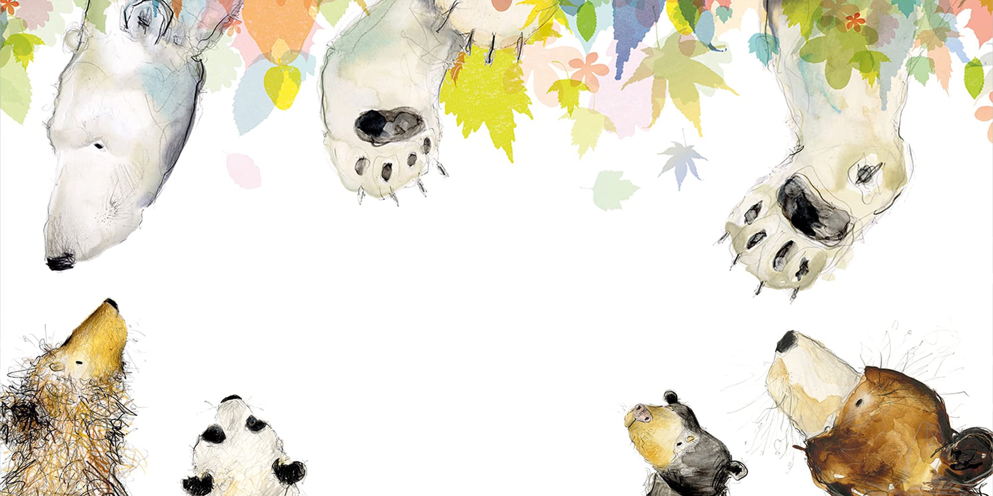 Catherine Rayner - Award Winning Illustrator & Author