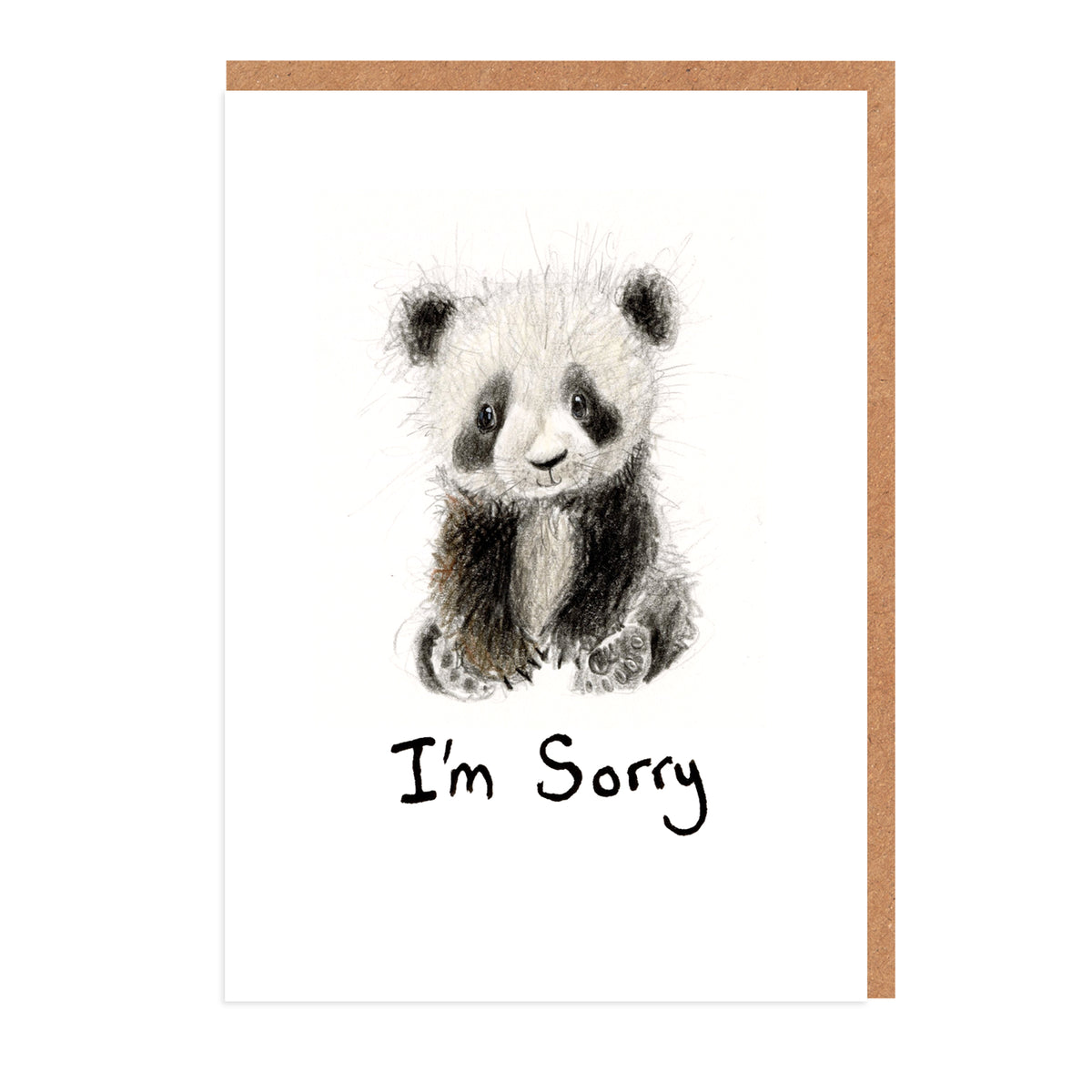 Evie Panda - I'm Sorry Mini Card – Catherine Rayner
