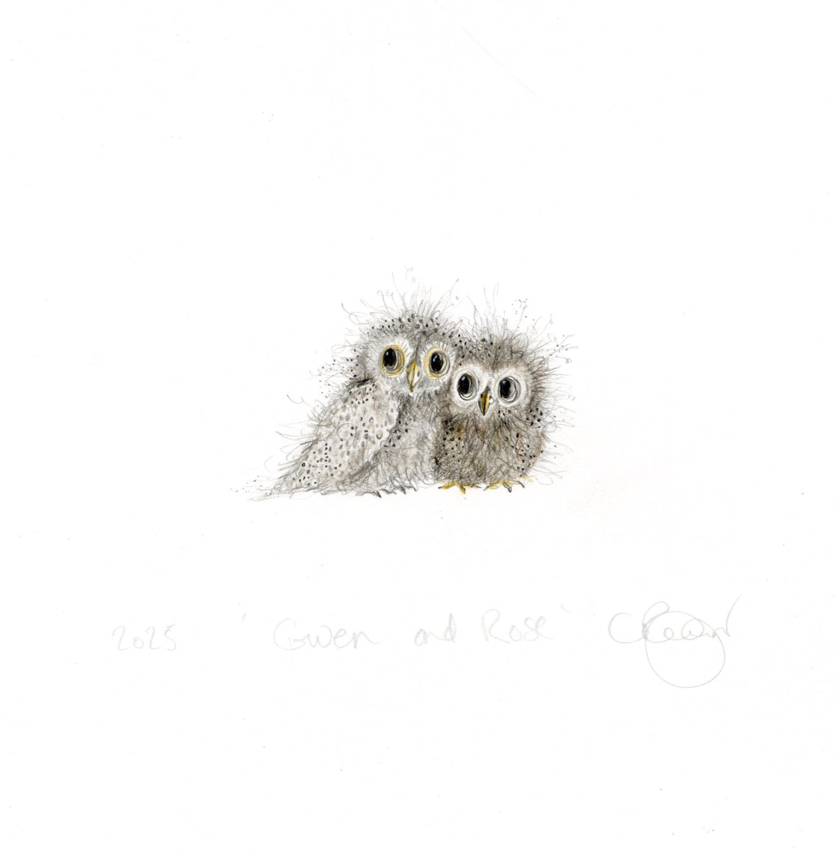 Gwen and Rose the baby owls – Catherine Rayner