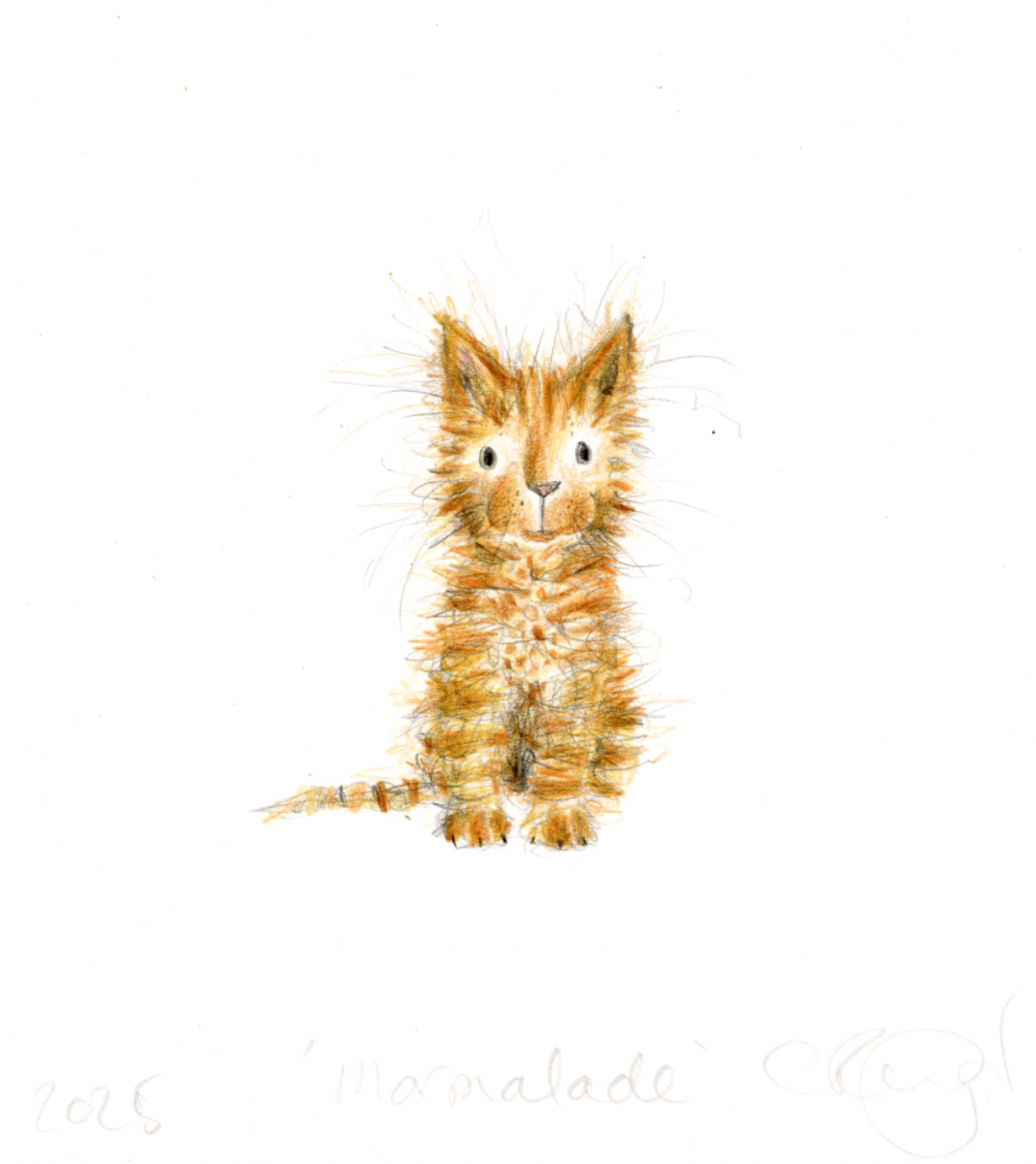 Marmalade the cat! – Catherine Rayner