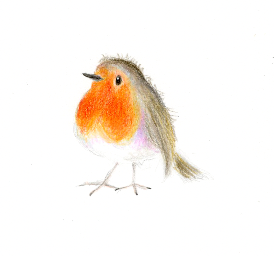 Little robin - you can choose the name! – Catherine Rayner