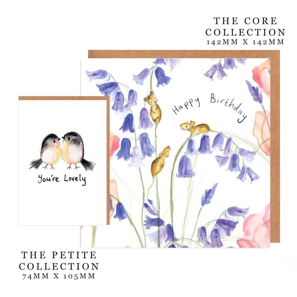 Petite Card Bundle - Hello! – Catherine Rayner