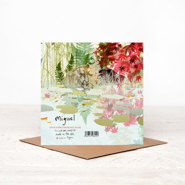 Miguel Frog New Home Card – Catherine Rayner