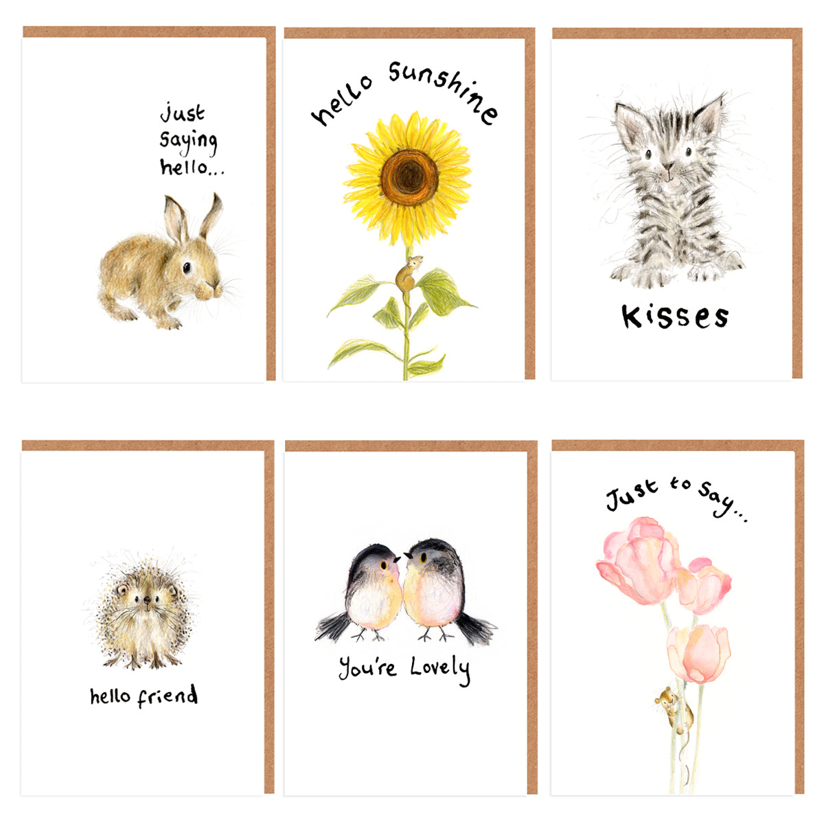 Petite Card Bundle - Hello! – Catherine Rayner