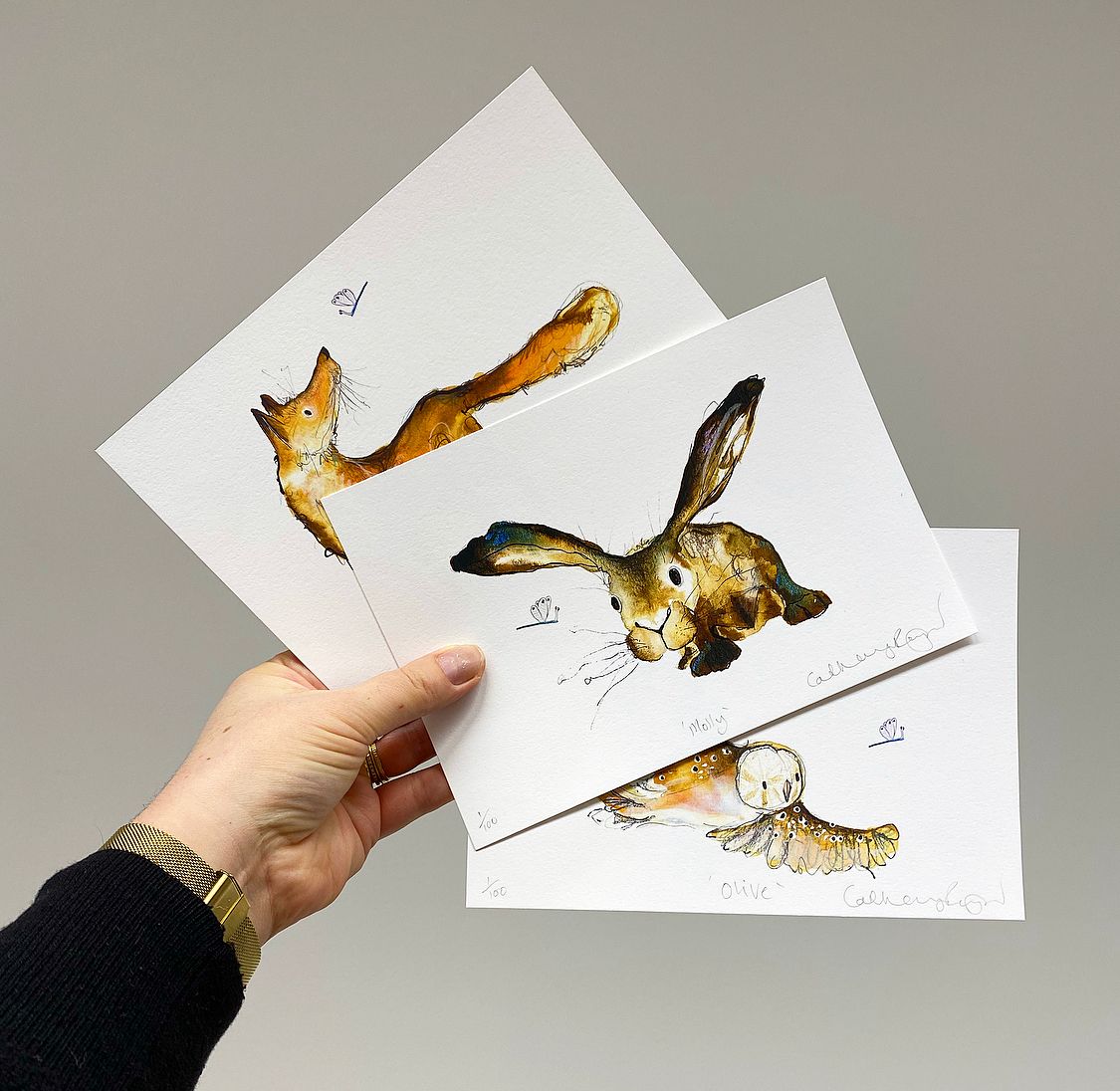 Olive the Owl A5 Print – Catherine Rayner